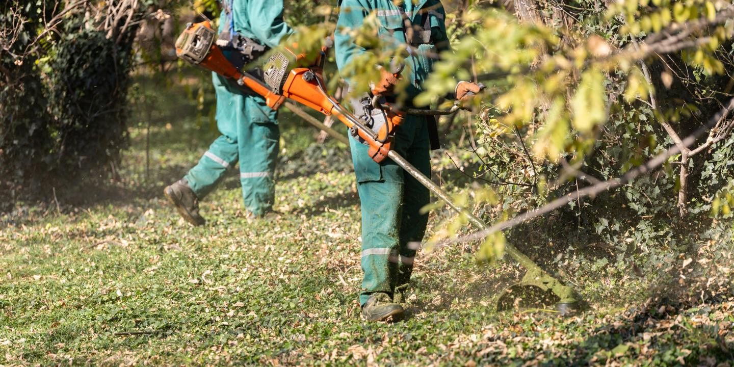 Core Equity planche sur l’entrée d’un nouvel actionnaire chez ID Verde